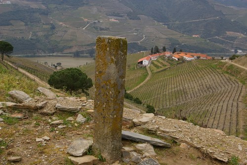Feitoria: demarcating the Douro – Jamie Goode's wine blog