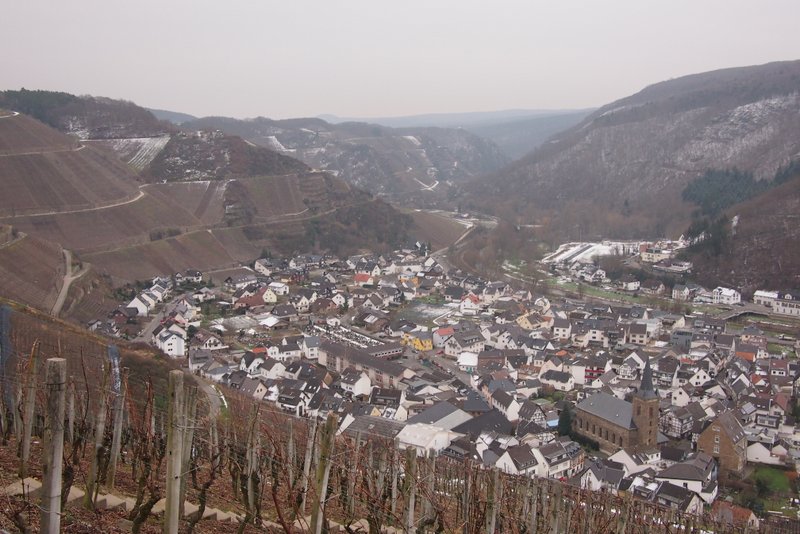 In the Ahr Valley, Germany, home to some great Pinot Noir – Jamie Goode ...