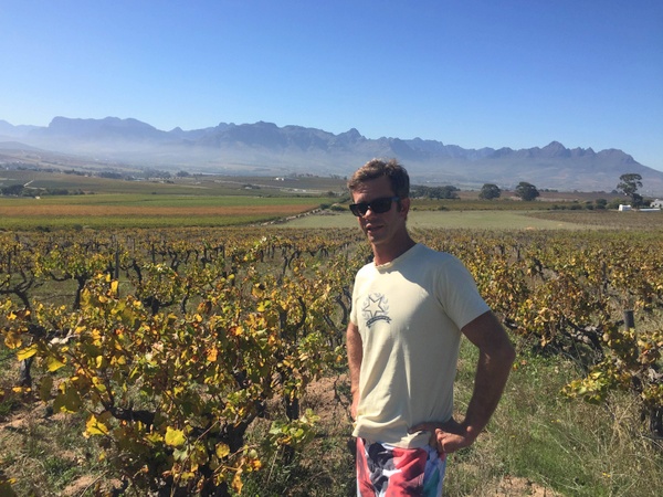 In the vineyards with Johan Reyneke talking farming and biodynamics ...