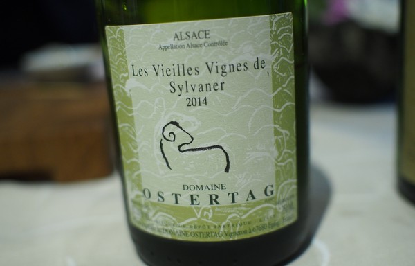 Sylvaner, Alsace’s unsung hero – Jamie Goode's wine blog