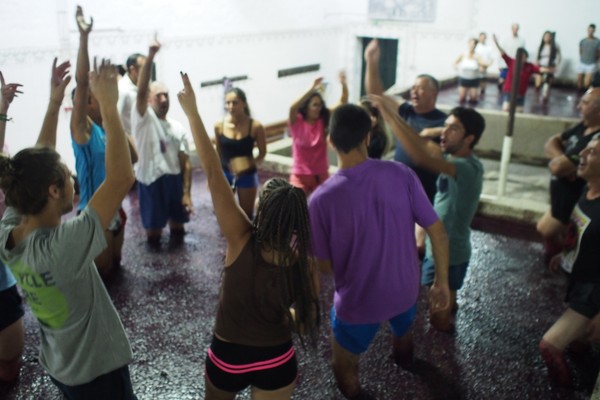 Foot-treading grapes at Quinta de Vargellas, Douro – Jamie Goode's wine ...