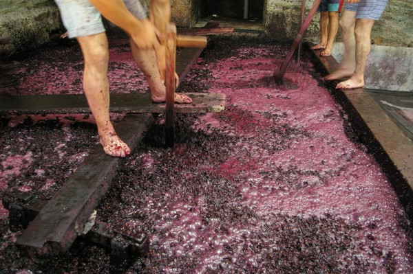 How Port wine is made, in pictures – Jamie Goode's wine blog