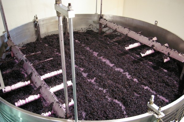 How Port wine is made, in pictures – Jamie Goode's wine blog