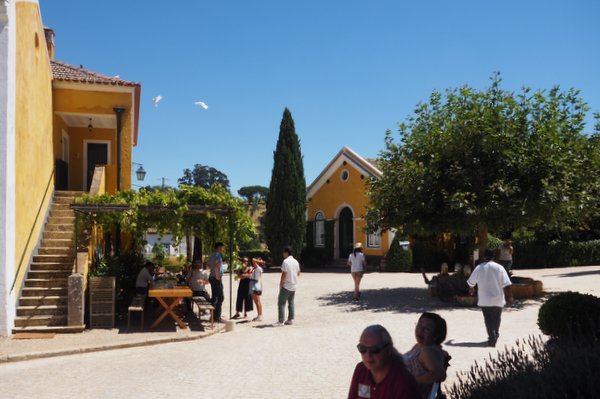 Lisbon Family Vineyards: visiting three ambitious producers from ...