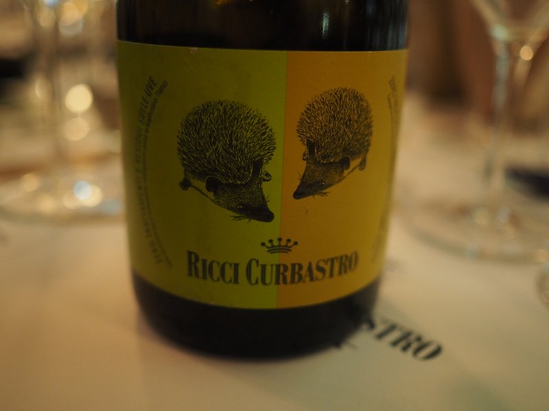The wines of Ricci Curbastro, Franciacorta, Italy – Jamie Goode's wine blog