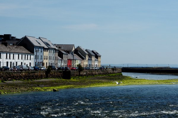 A great meal at Aniar, Galway – Jamie Goode's wine blog