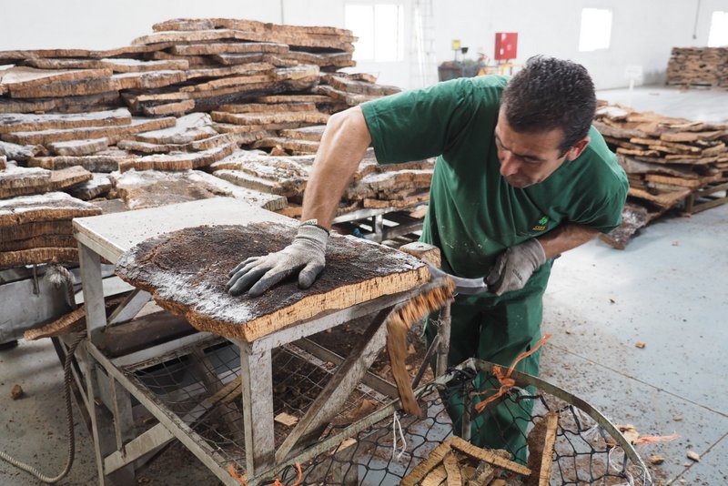 The cork harvest in Portugal – Jamie Goode's wine blog