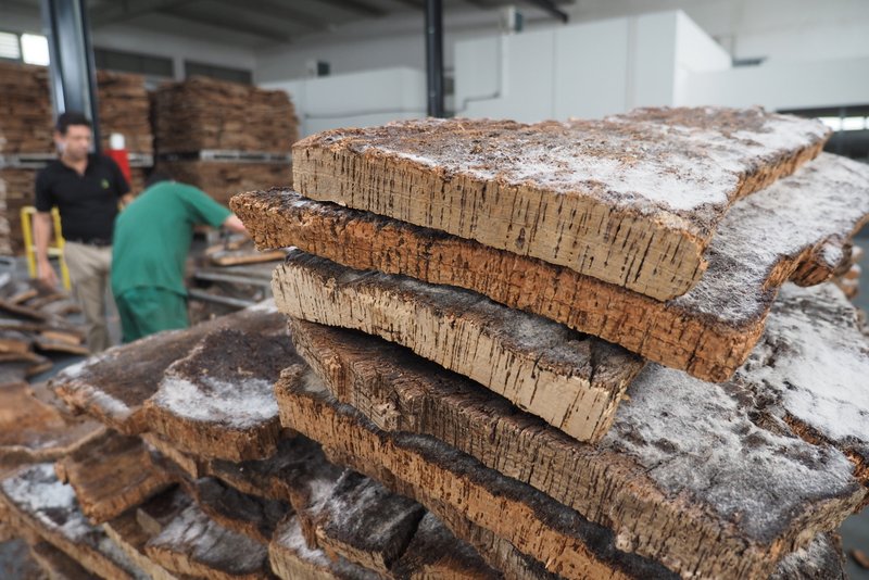 The cork harvest in Portugal – Jamie Goode's wine blog