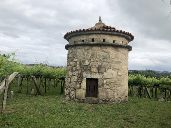 Visiting Zarate with Eulogio Pomares, one of the most exciting ...