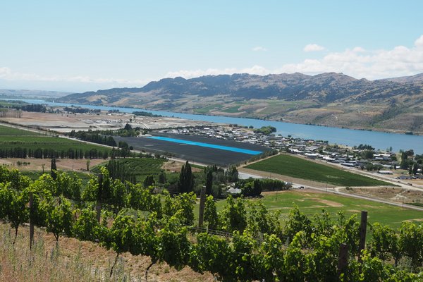 Central Otago (13) Akarua – Jamie Goode's wine blog