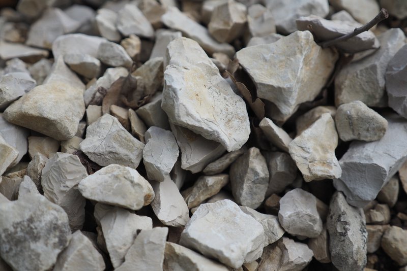 Chablis (2) the soils – Jamie Goode's wine blog