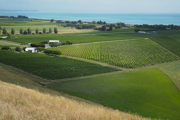 Hawke’s Bay, New Zealand (10) Te Awanga Estate – Jamie Goode's wine blog
